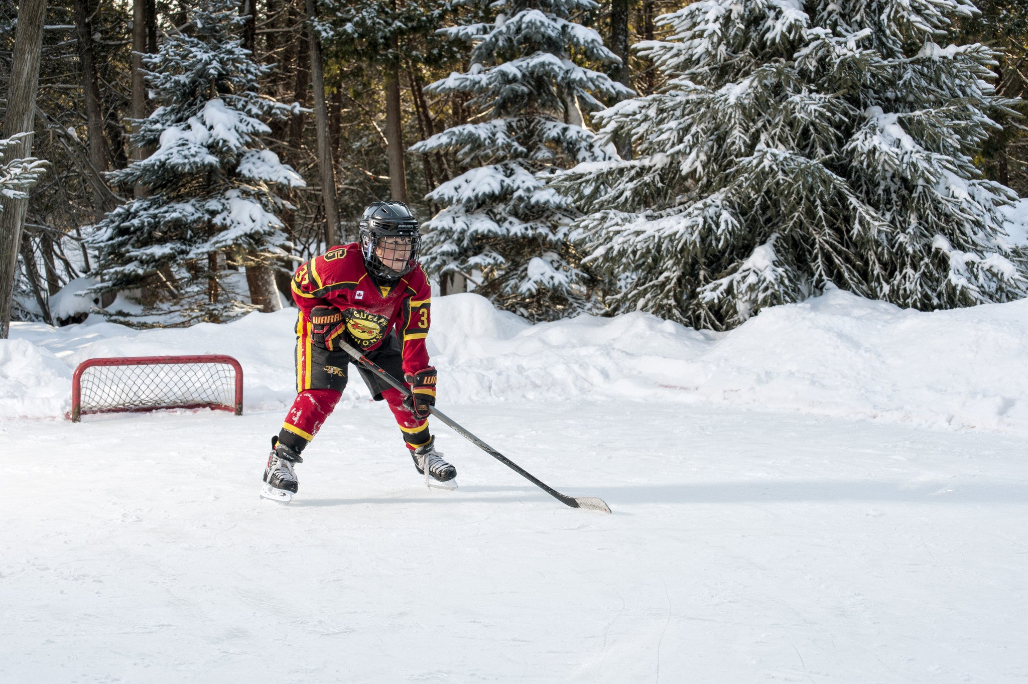 Buy Backyard Rink Starter Kits Online | RinkMaster – RinkMaster CAN